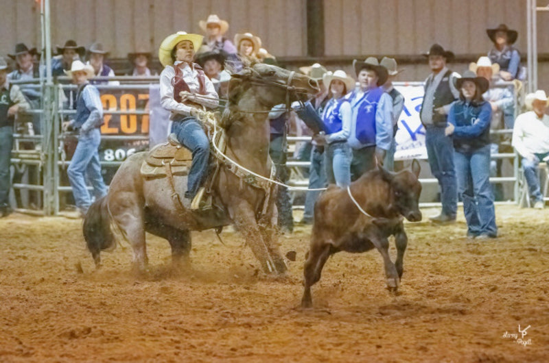 The Art of Breakaway Roping: Tips, Techniques, and Top Gear