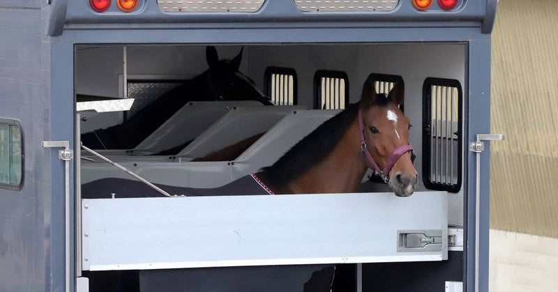 What You Need To Know About Horse Trailer Brakes