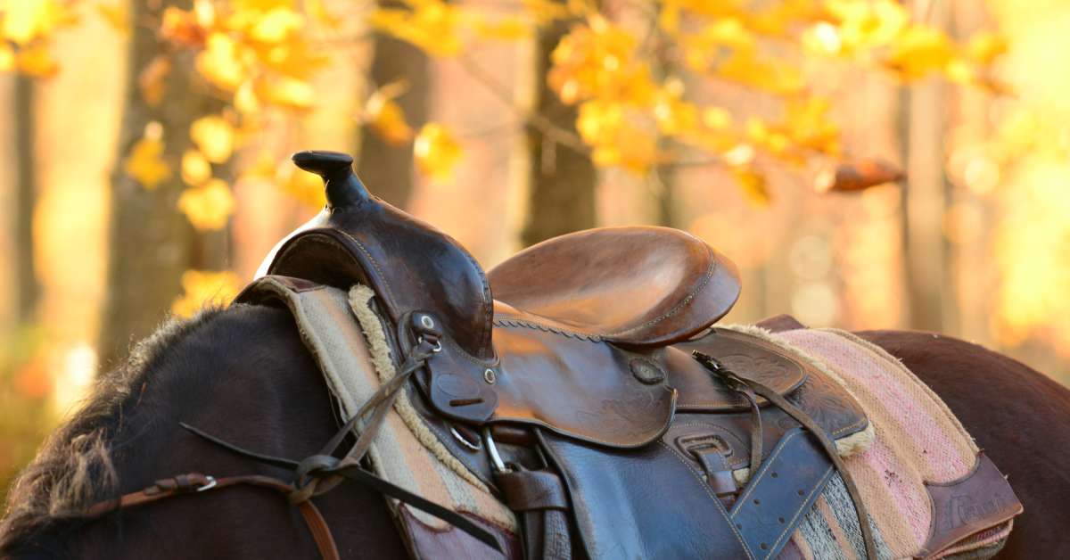 How To Choose Your First Horse Riding Saddle