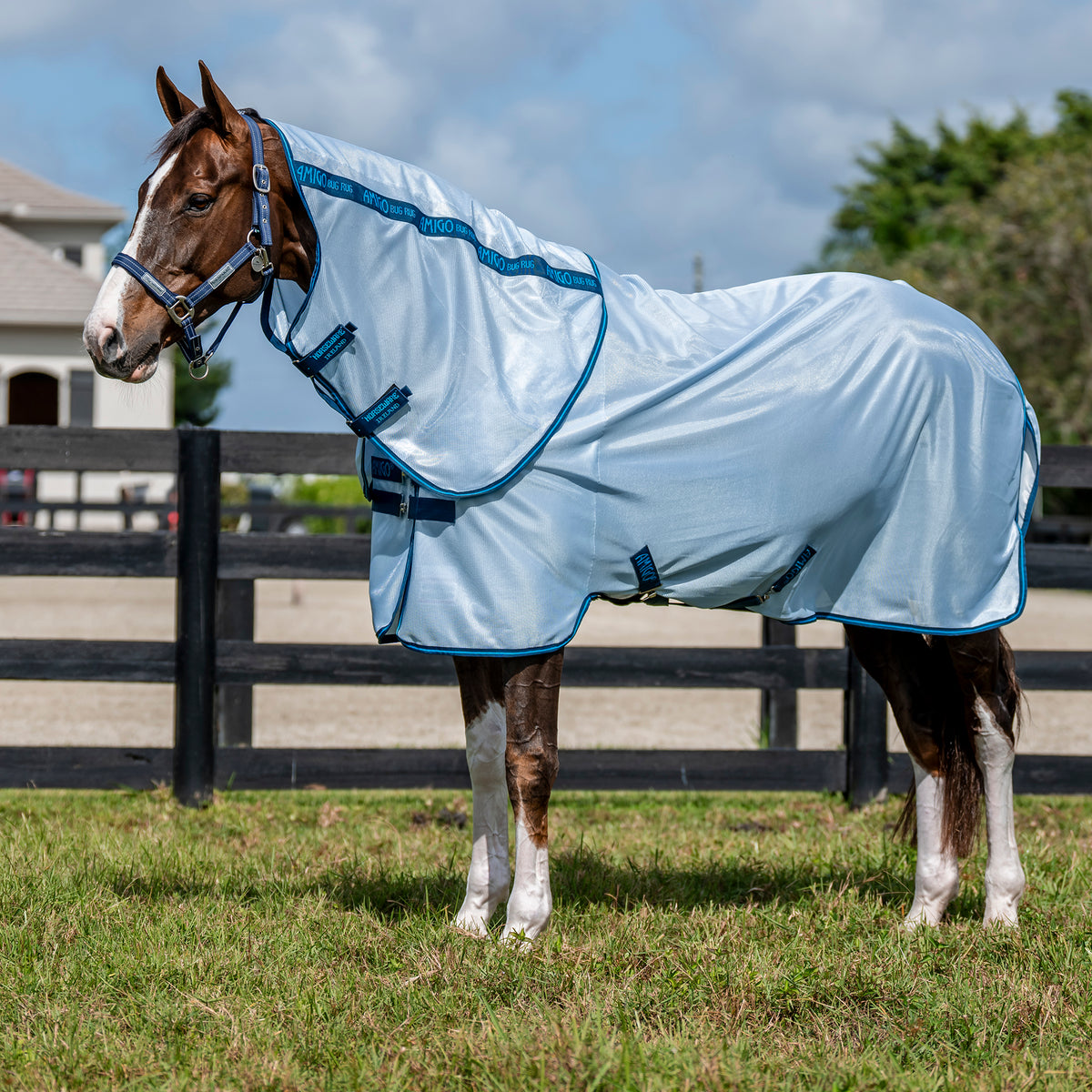Horseware Amigo Bug Rug Plus Fly Sheet- Azure Blue/Navy & Electric Blu