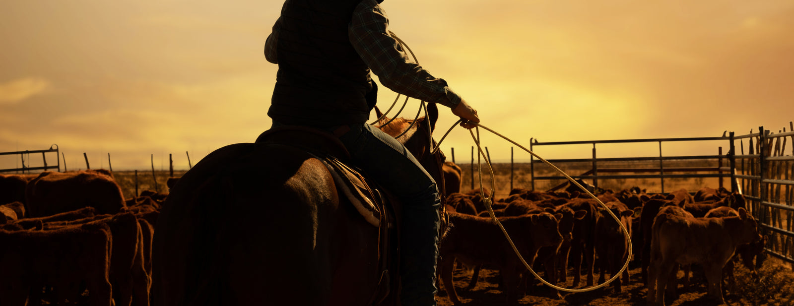 Horse Store | Horseback Riding Supplies | Coolhorse