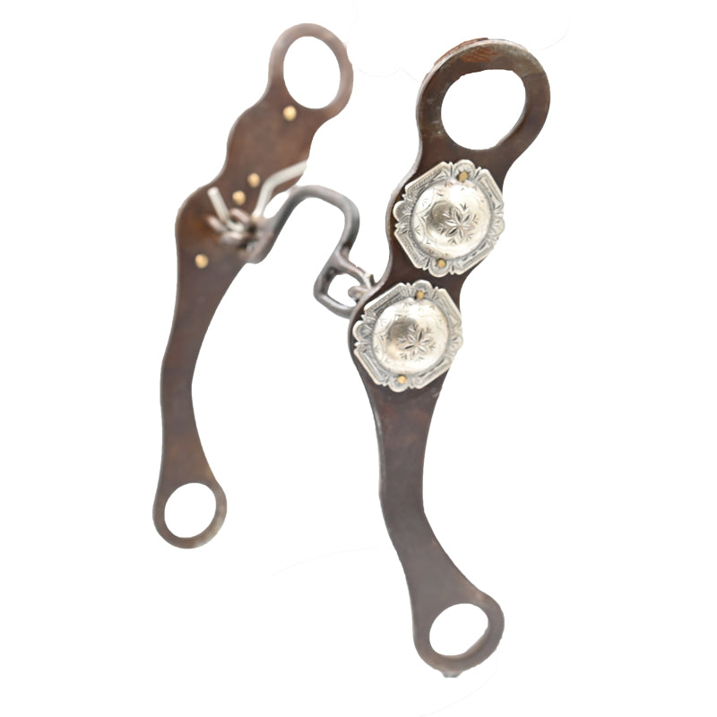 Dale Myers 9.5" Square Ported Chain Bit with Circle Conchos