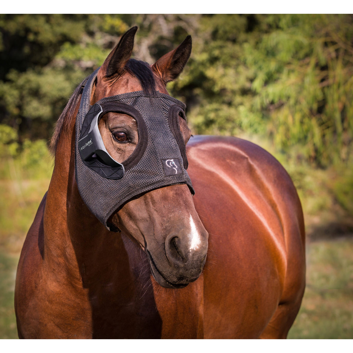 Equilume Belfield Single Season Breeding Light Mask