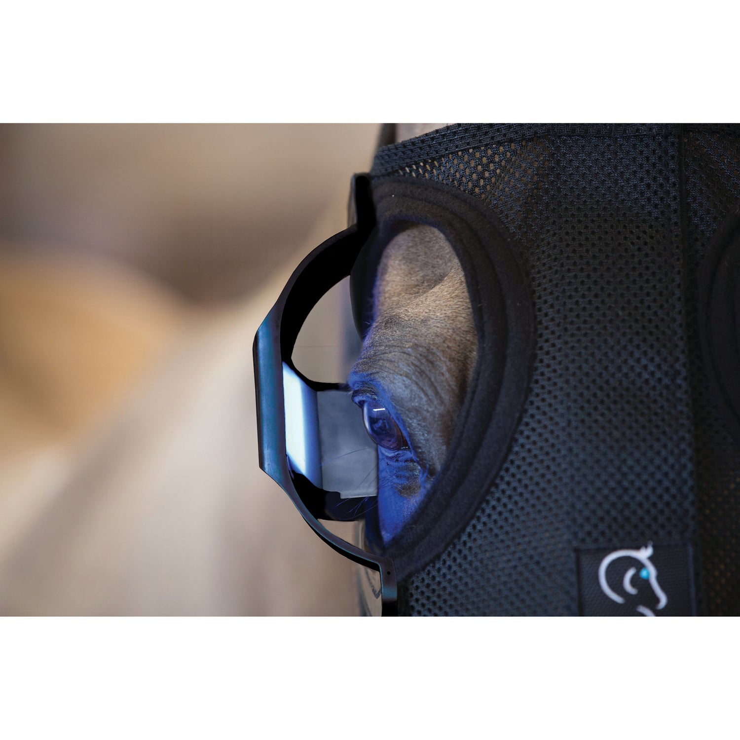 Equilume Belfield Single Season Breeding Light Mask
