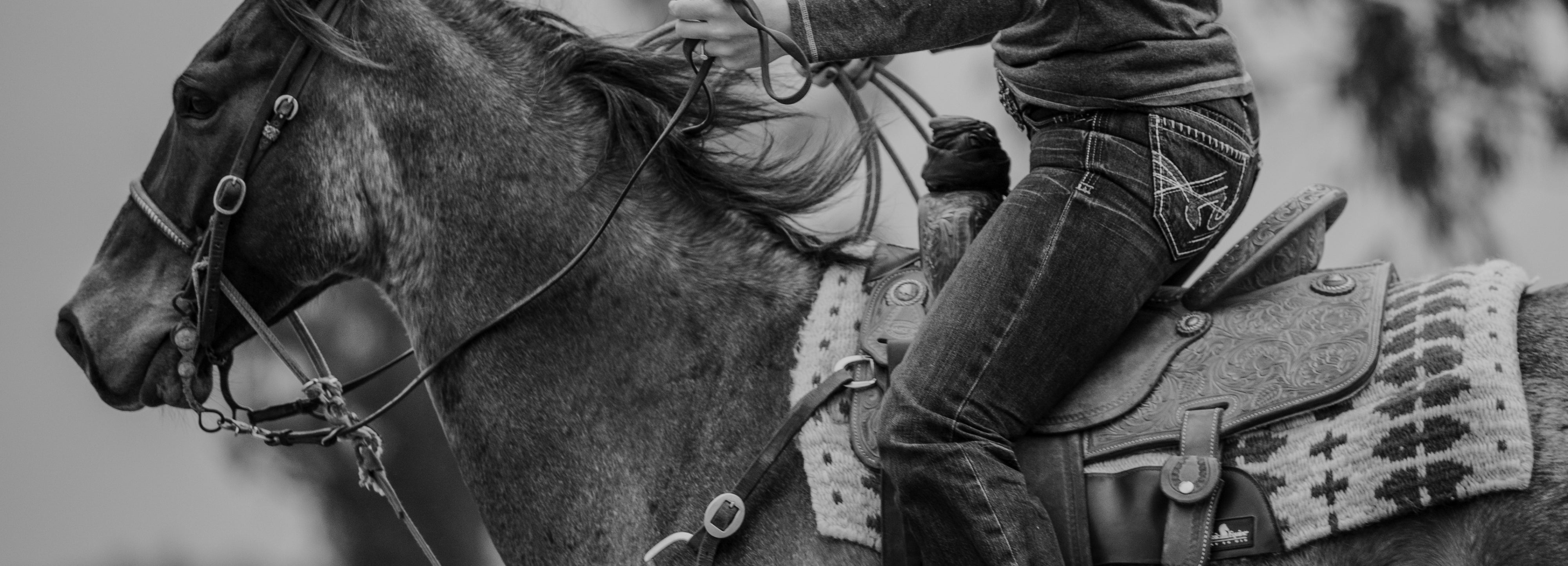 Horse Store | Horseback Riding Supplies | Coolhorse