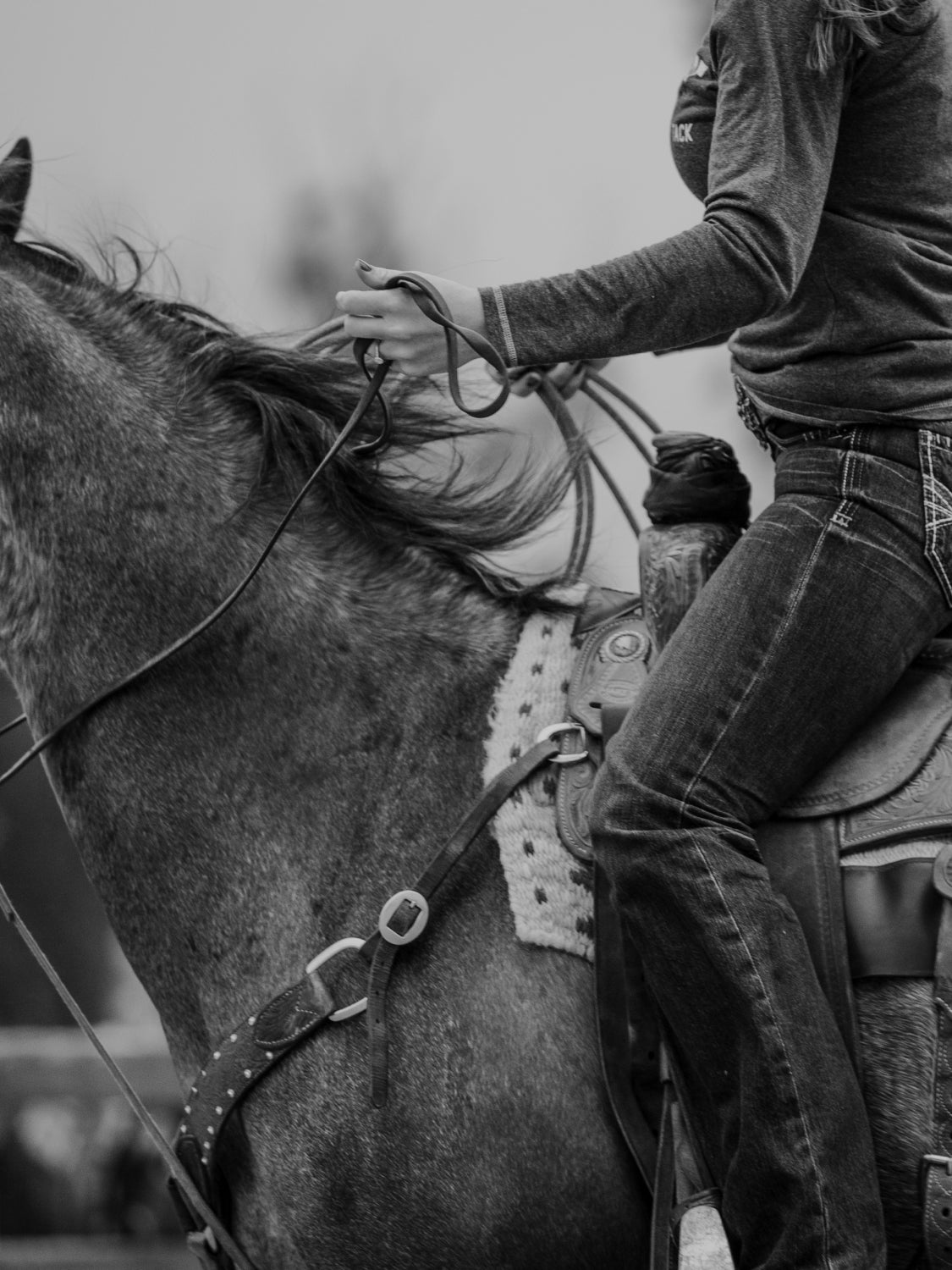 Horse Store | Horseback Riding Supplies | Coolhorse