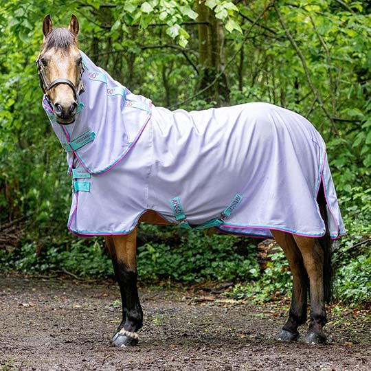 Amigo Bug Rug Pony Fly Sheet- Lavender